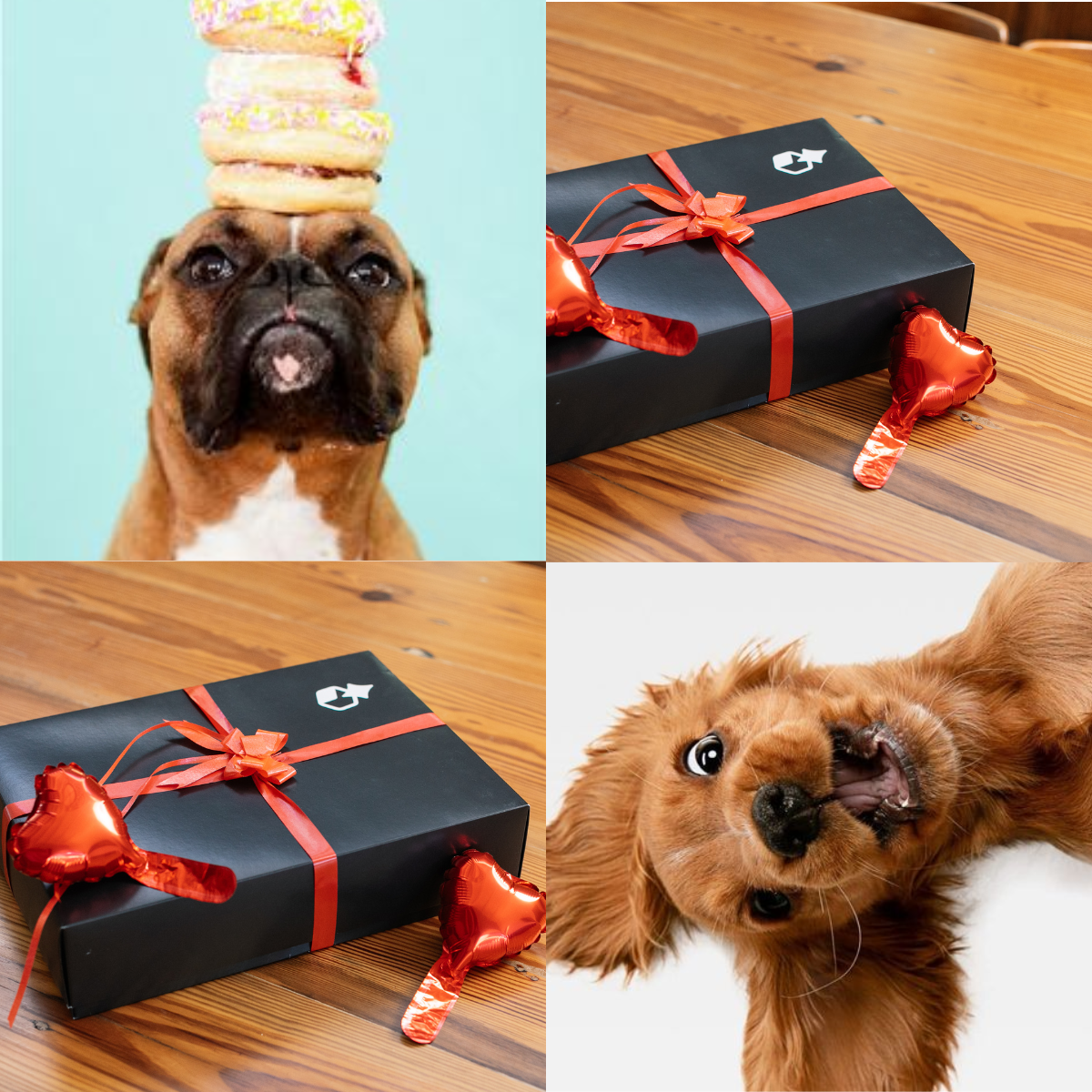 FabuMap Historias - 16 Regalos Originales para Amantes de los Perros ...